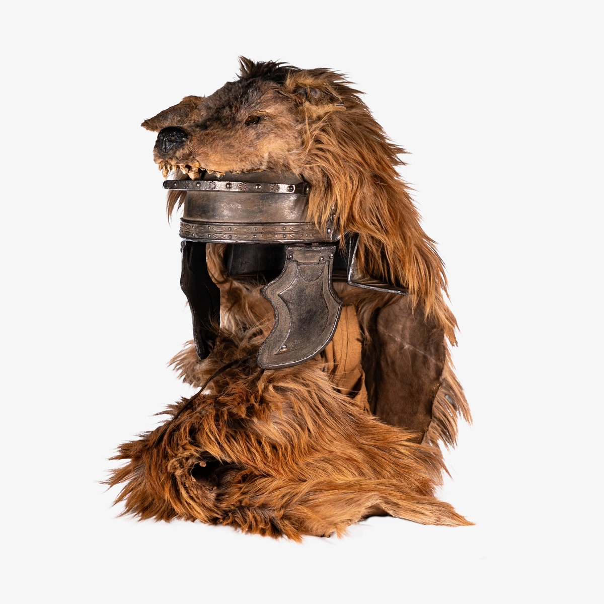 Roman Helmet with Faux Wolf Pelt